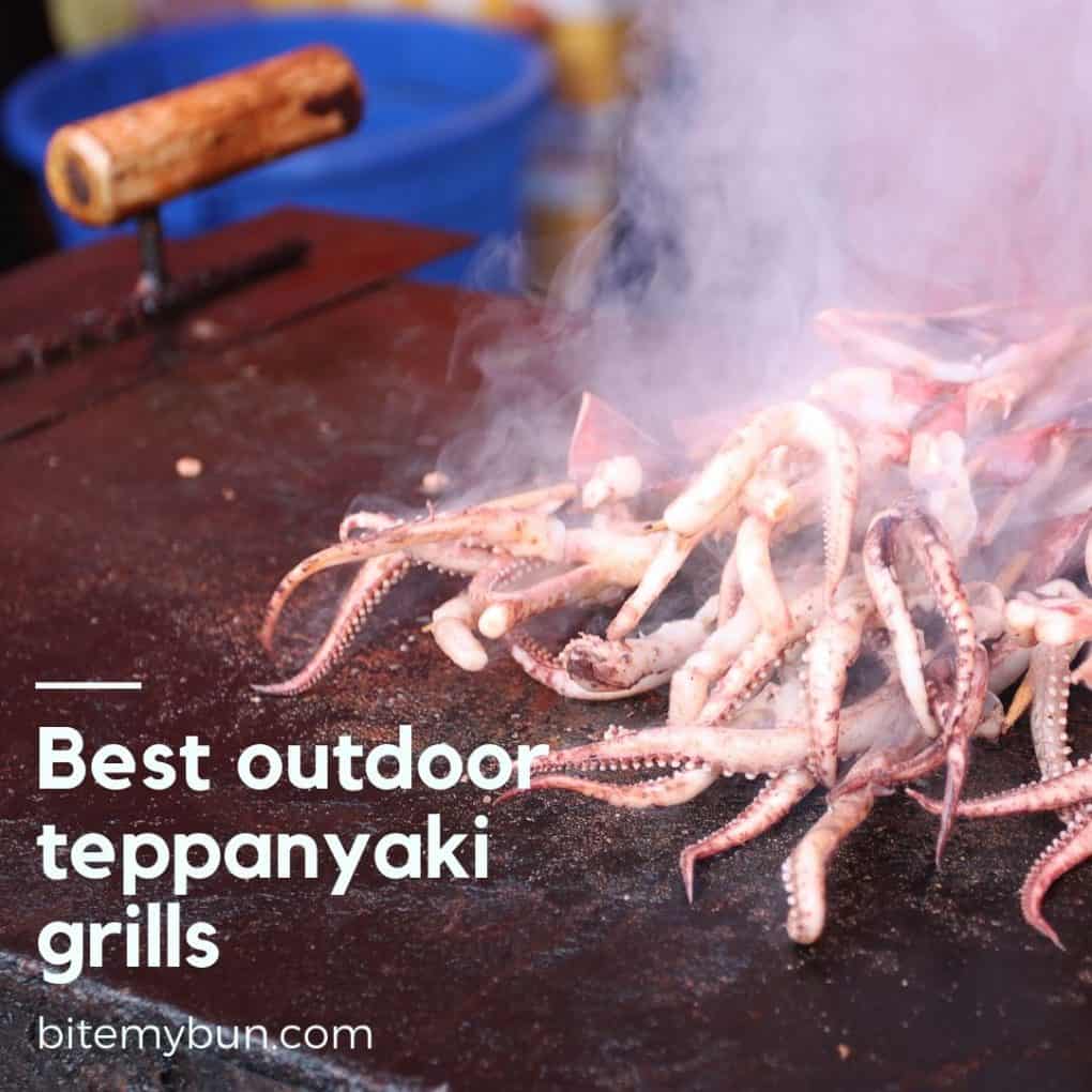 Want an outdoor teppanyaki grill? The top 5 you should buy!