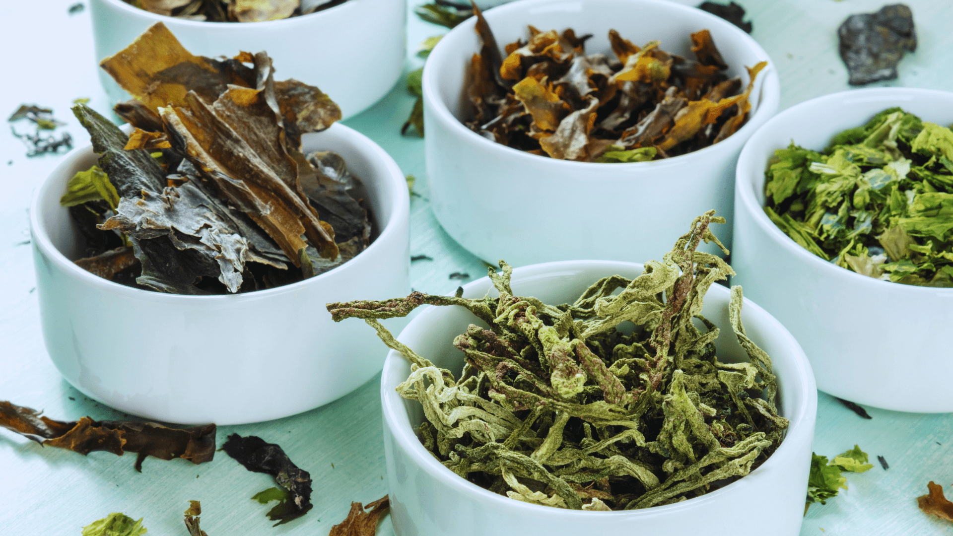 Kombu: o que você precisa saber sobre essa alga japonesa - Bite My Bun