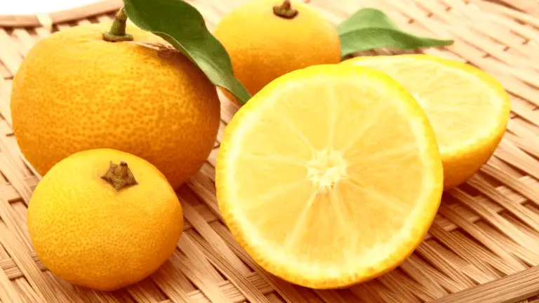 Best Substitute for Fresh Yuzu Fruit & Yuzu Juice