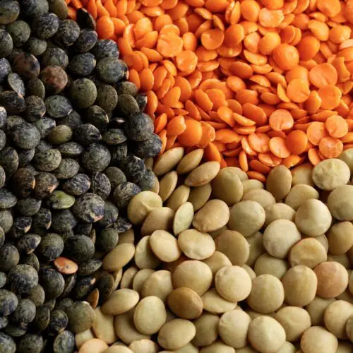 Lentil: Pelajari Tentang Berbagai Jenis dan Manfaat Kesehatan - Bite My Bun