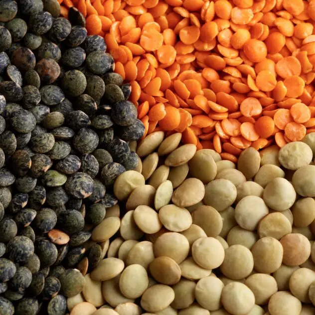Lentil: Pelajari Tentang Berbagai Jenis dan Manfaat Kesehatan - Bite My Bun